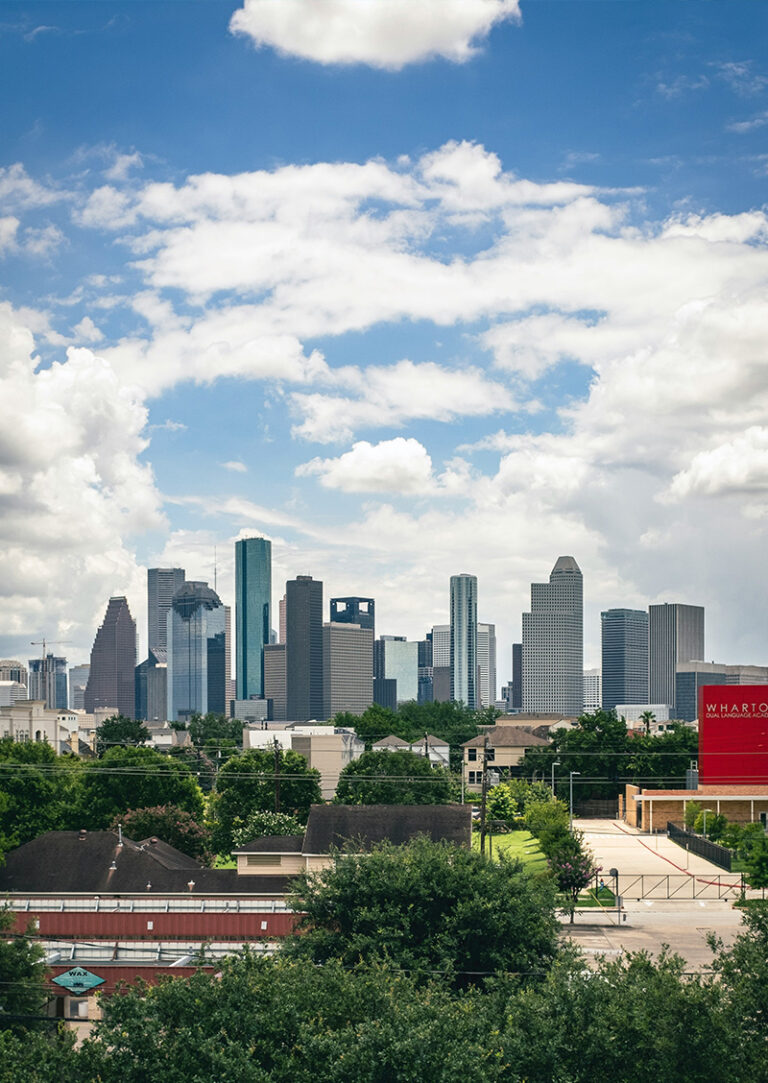 Top-Rated Houston MSP & IT Services - IT GOAT